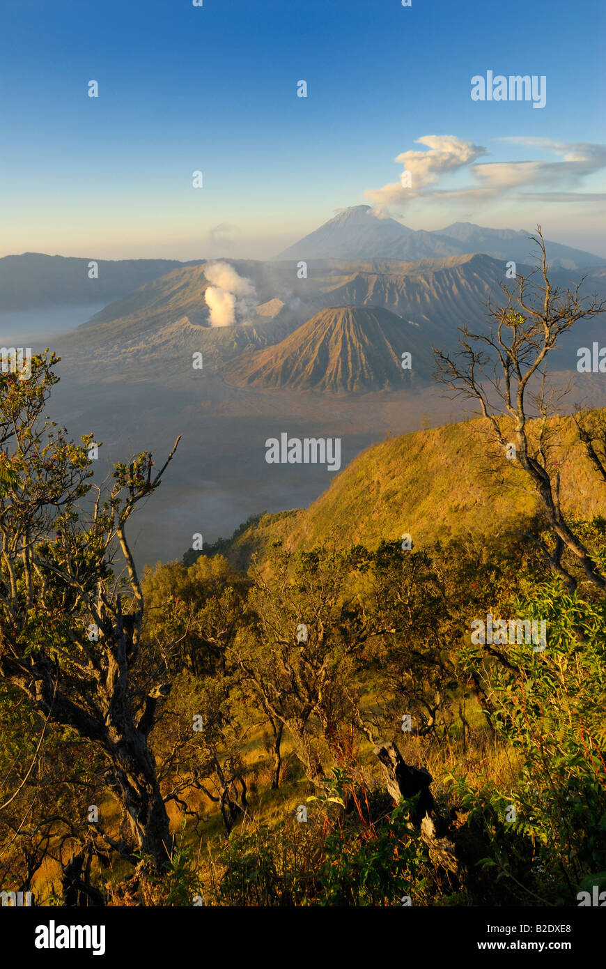 Bromo tengger semeru nationalpark -Fotos und -Bildmaterial in hoher ...