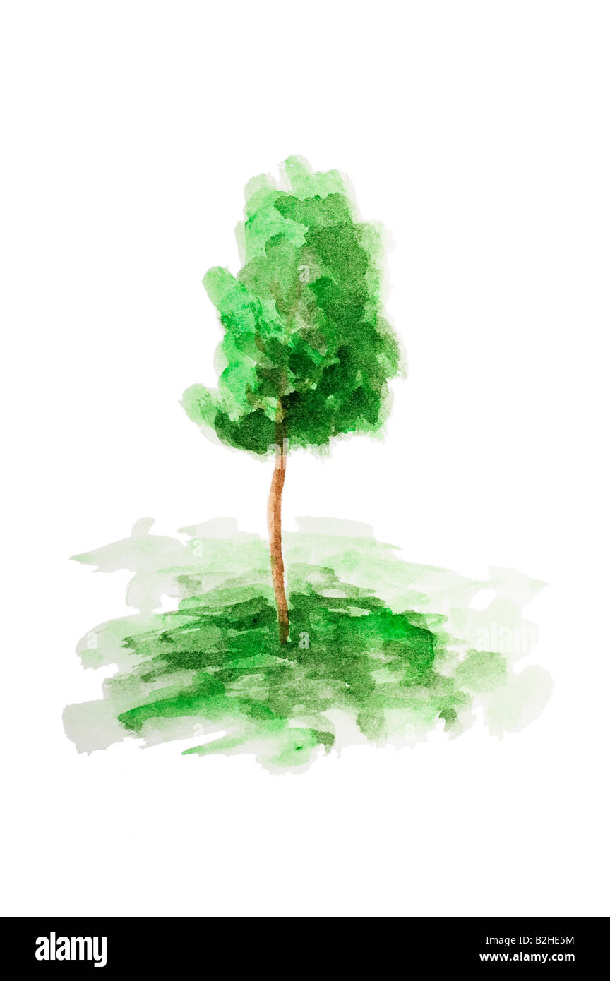 Aquarell gemalt Baum Stockfotografie - Alamy