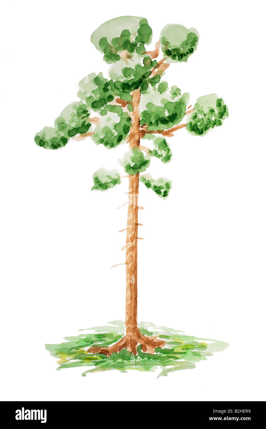 Tree painting -Fotos und -Bildmaterial in hoher Auflösung – Alamy