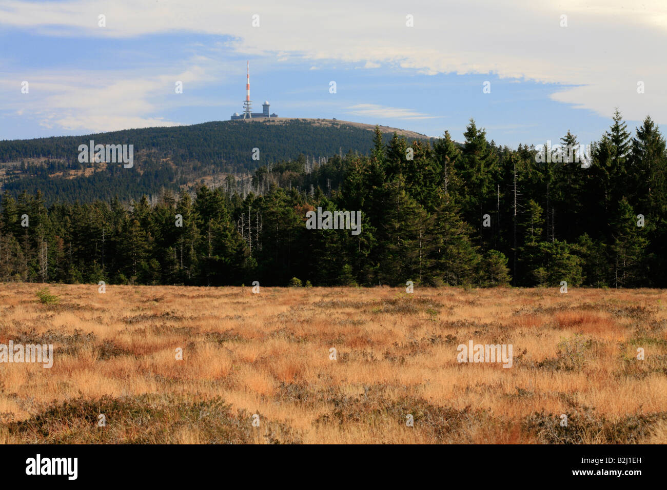 Nationalpark harz blocksberg -Fotos und -Bildmaterial in hoher ...