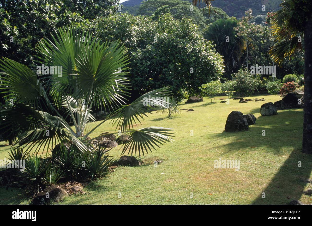 Victoria botanical gardens mahe -Fotos und -Bildmaterial in hoher ...