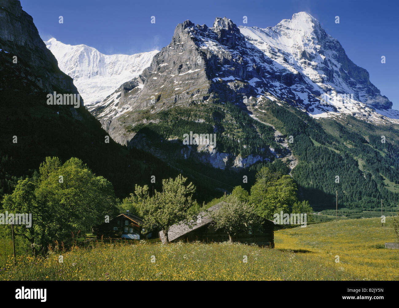 Ost berner alpen -Fotos und -Bildmaterial in hoher Auflösung – Alamy