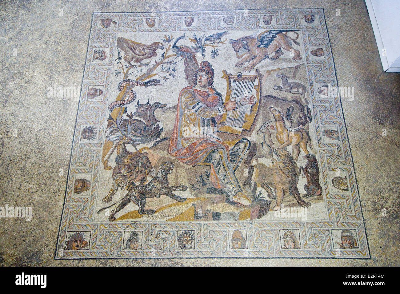 Mosaic of orpheus -Fotos und -Bildmaterial in hoher Auflösung – Alamy
