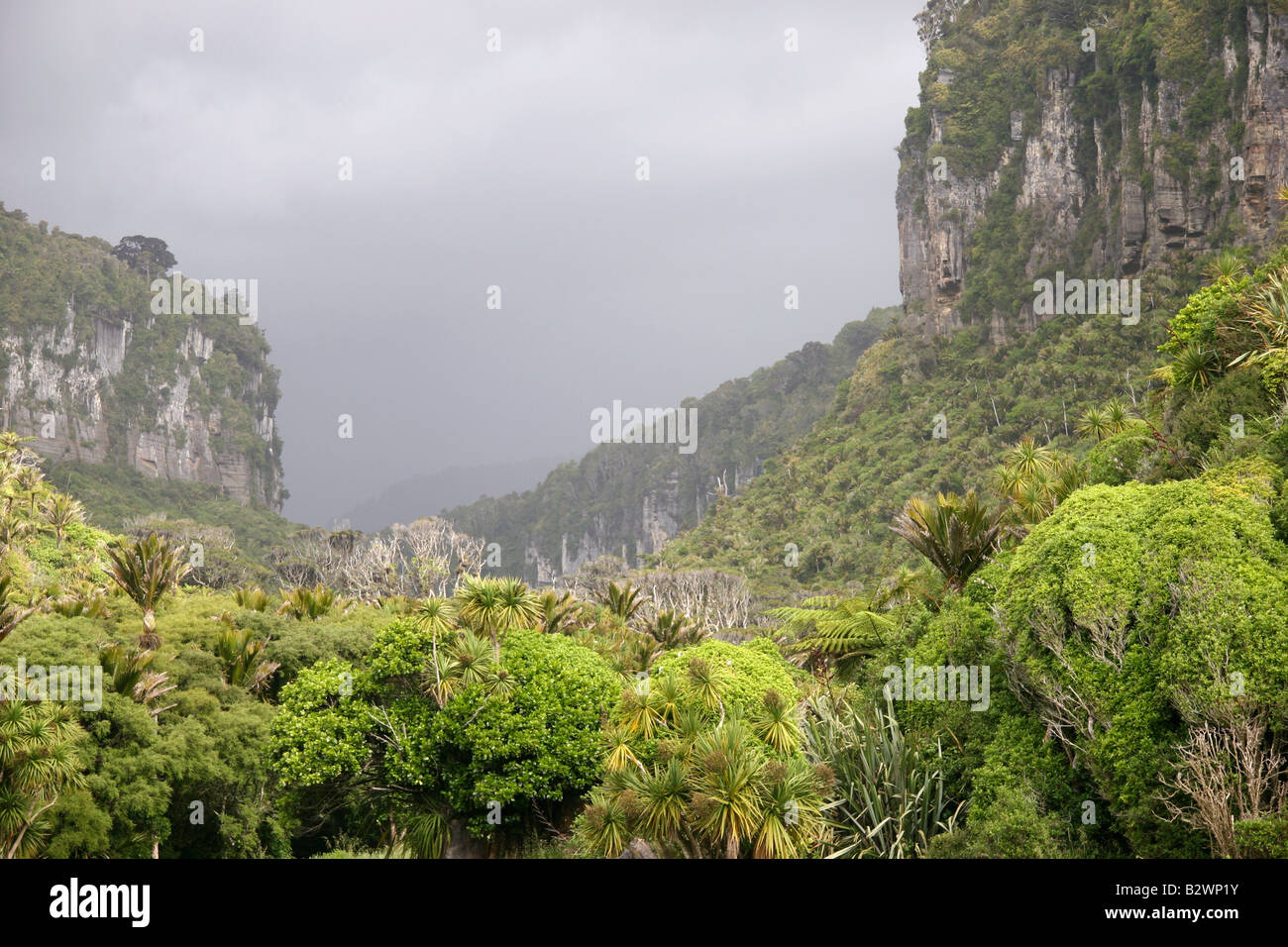Pororari River Gorge im Paparoa National Park bei Punakaiki an der ...
