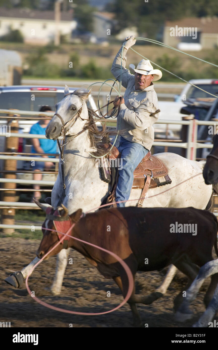 Cowboys mit dem Lasso Kuh an PRCA Rodeo am Lower Brule, Lyman County ...