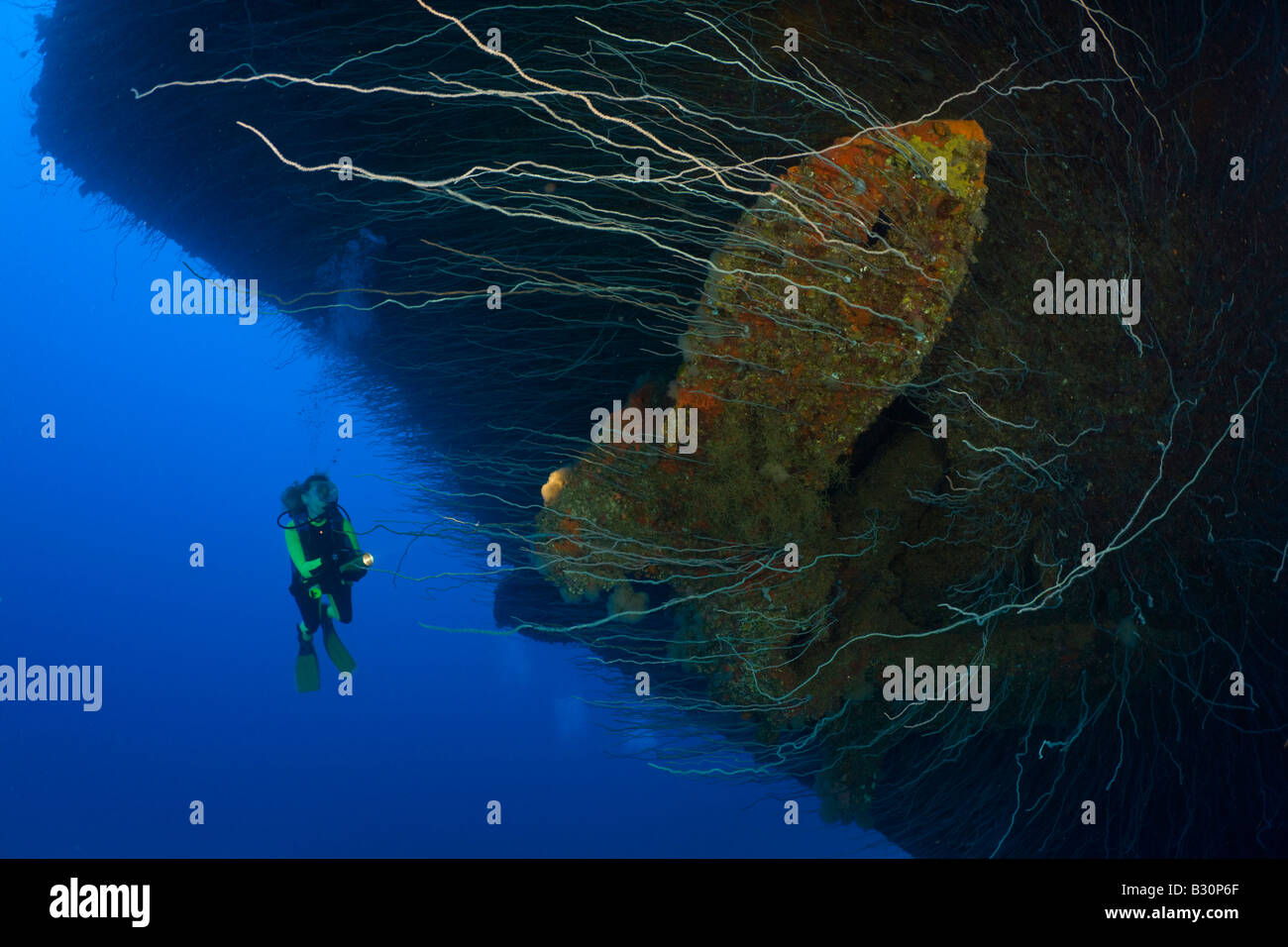 Aircraft carrier uss saratoga -Fotos und -Bildmaterial in hoher ...