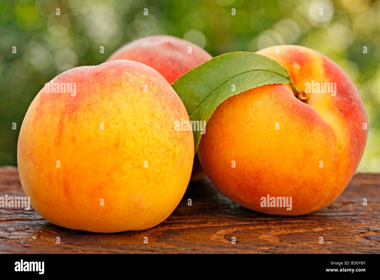 Pfirsiche in natürlichen Hintergrund Stockfotografie - Alamy