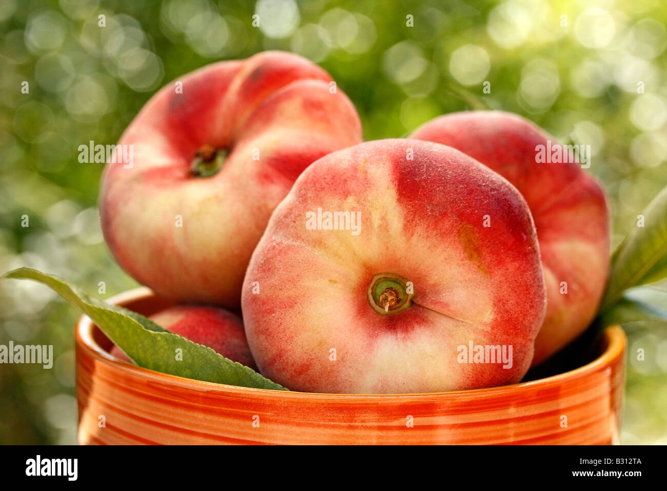 Paraguay-Pfirsiche in natürlichen Hintergrund Stockfotografie - Alamy