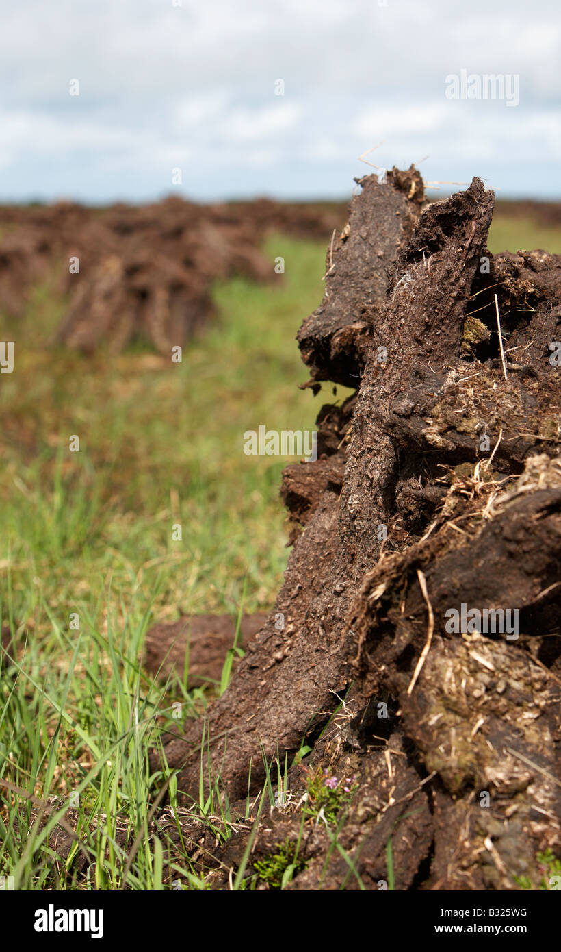 Stapelt torf -Fotos und -Bildmaterial in hoher Auflösung – Alamy