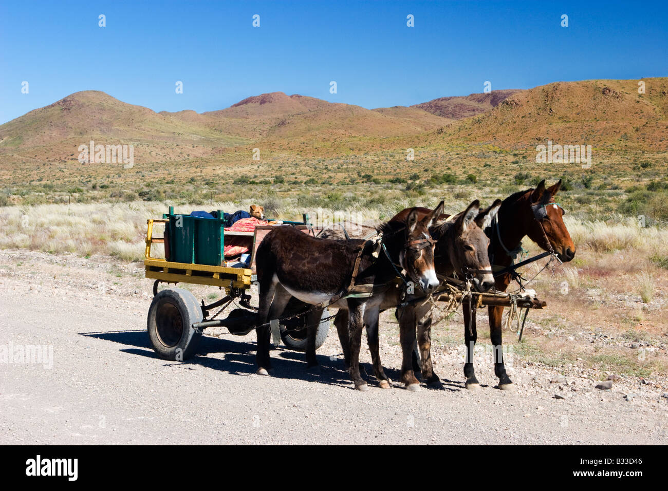 Kalahari express -Fotos und -Bildmaterial in hoher Auflösung – Alamy