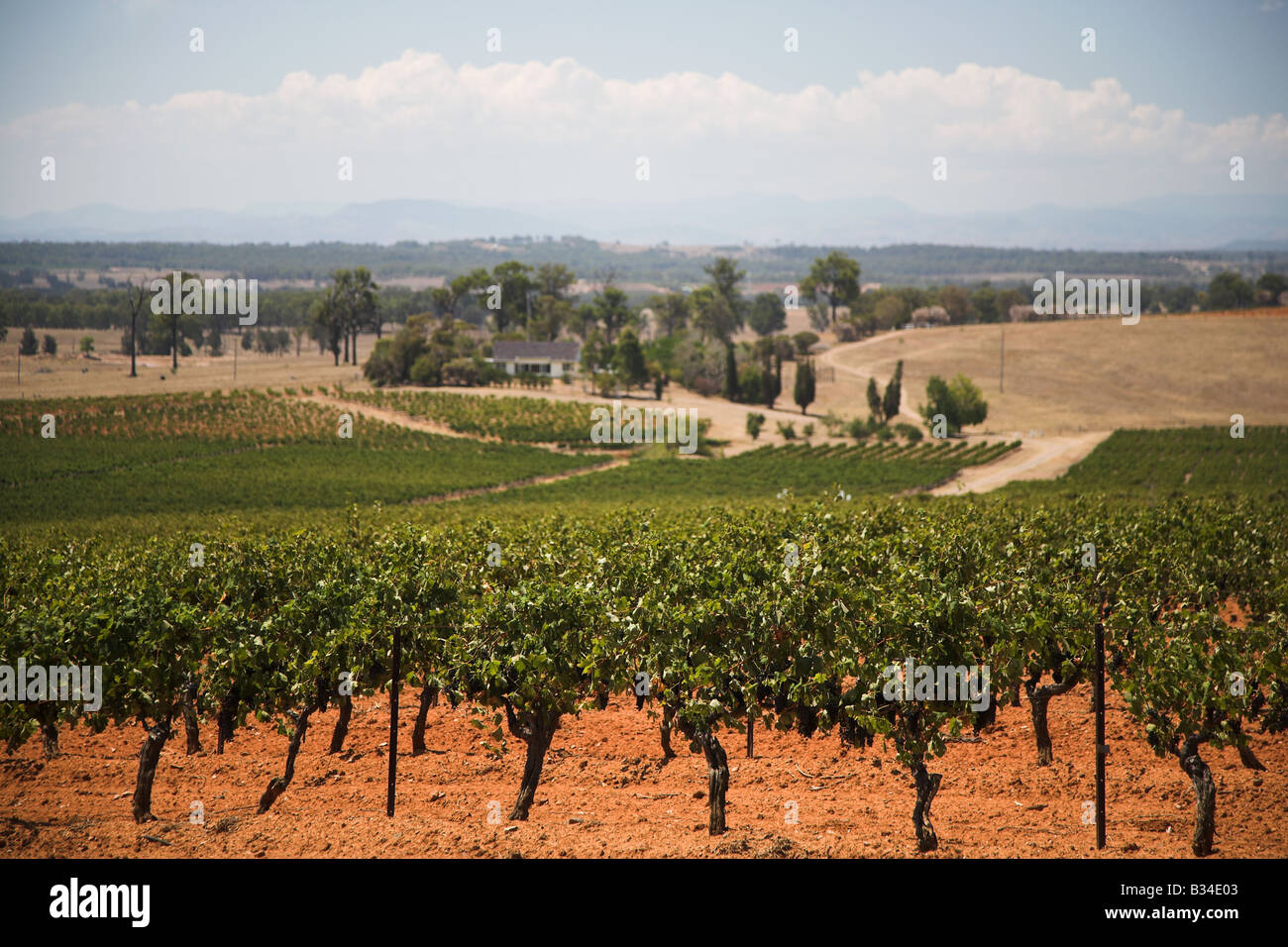 Lower hunter valley -Fotos und -Bildmaterial in hoher Auflösung – Alamy