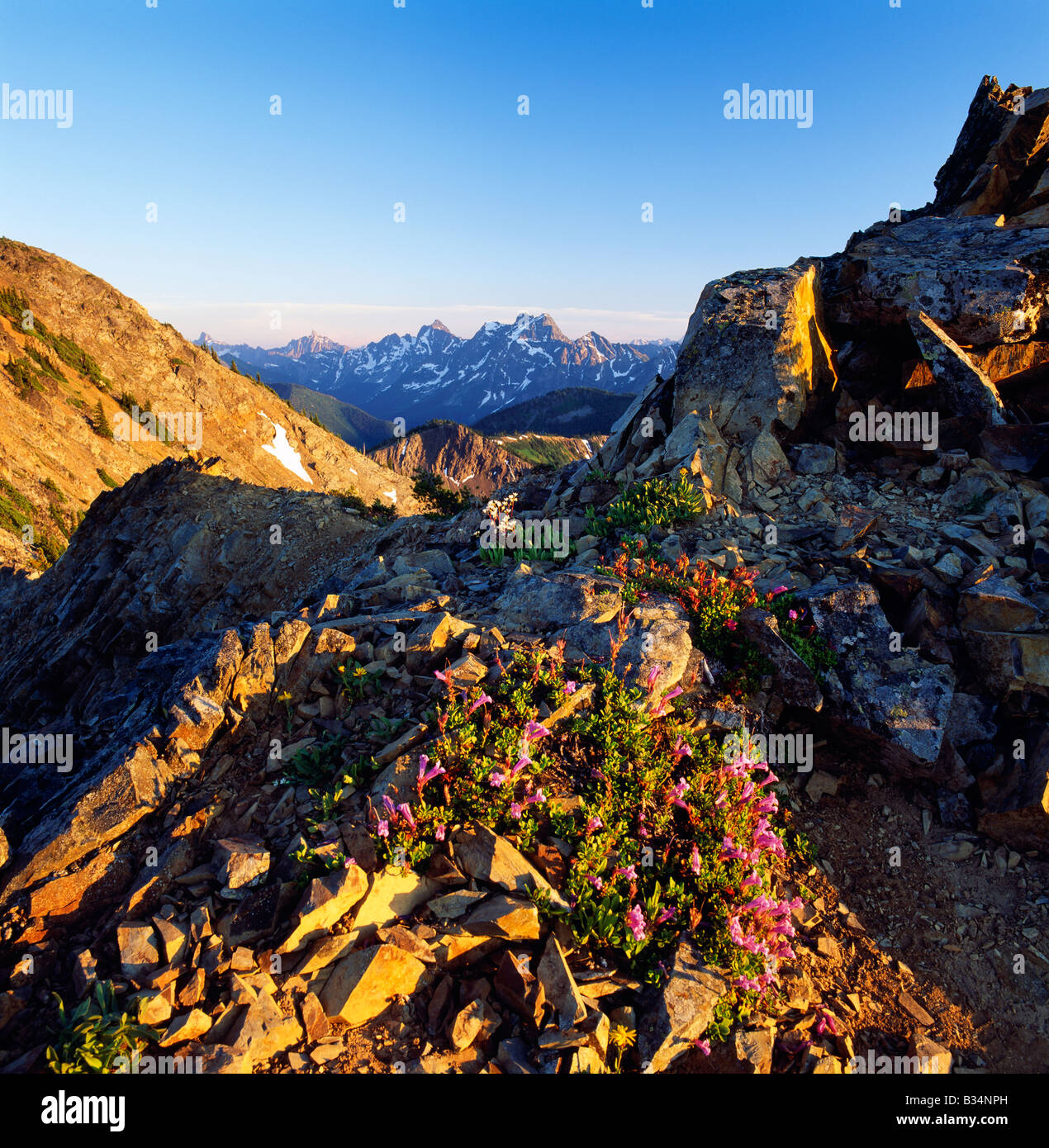 Tamarack peak -Fotos und -Bildmaterial in hoher Auflösung – Alamy