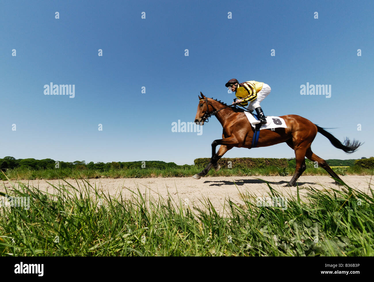 Reiter im galopp von unten -Fotos und -Bildmaterial in hoher Auflösung ...
