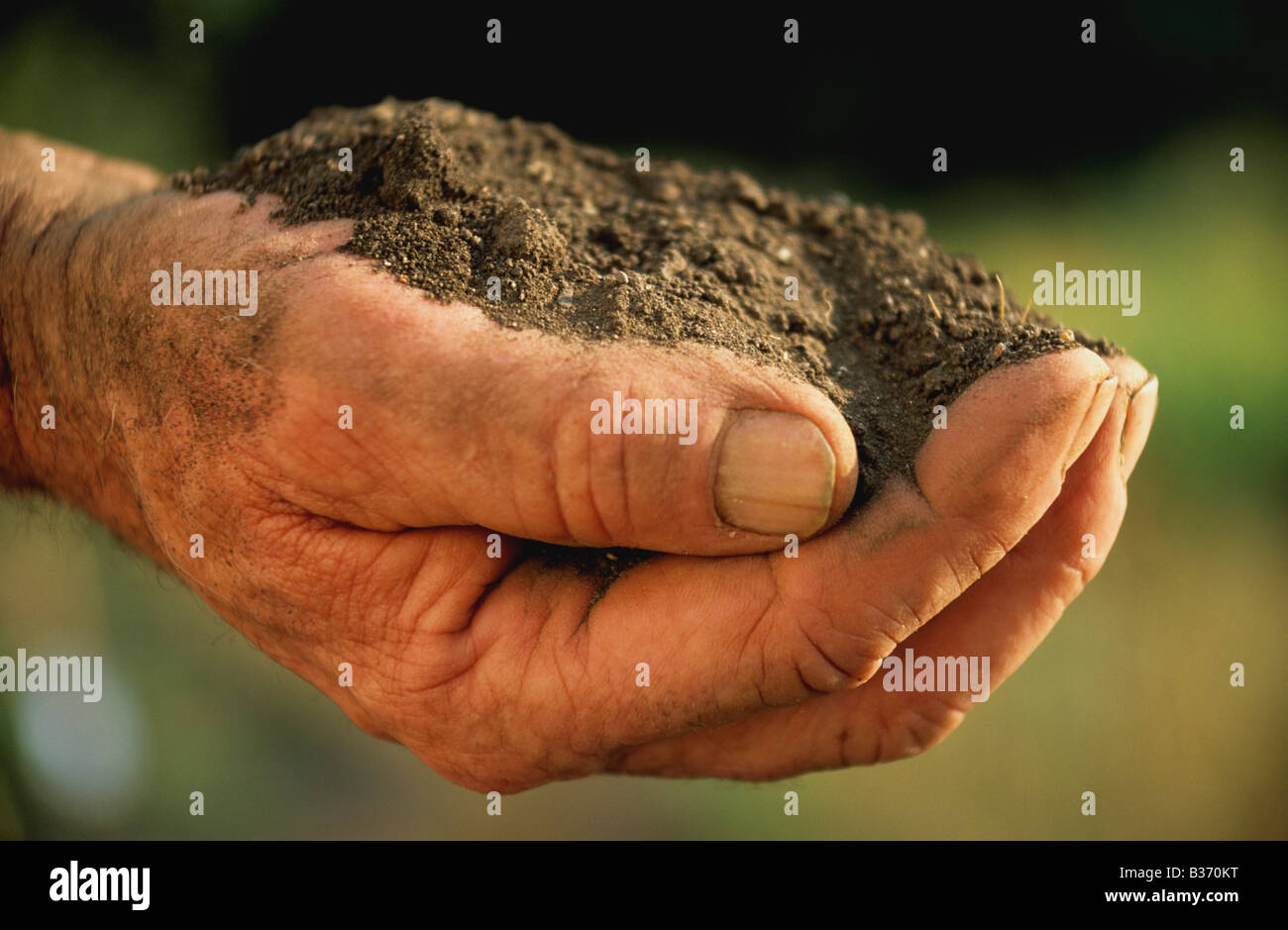Boden, Erde in der Hand des Gärtners Stockfotografie - Alamy