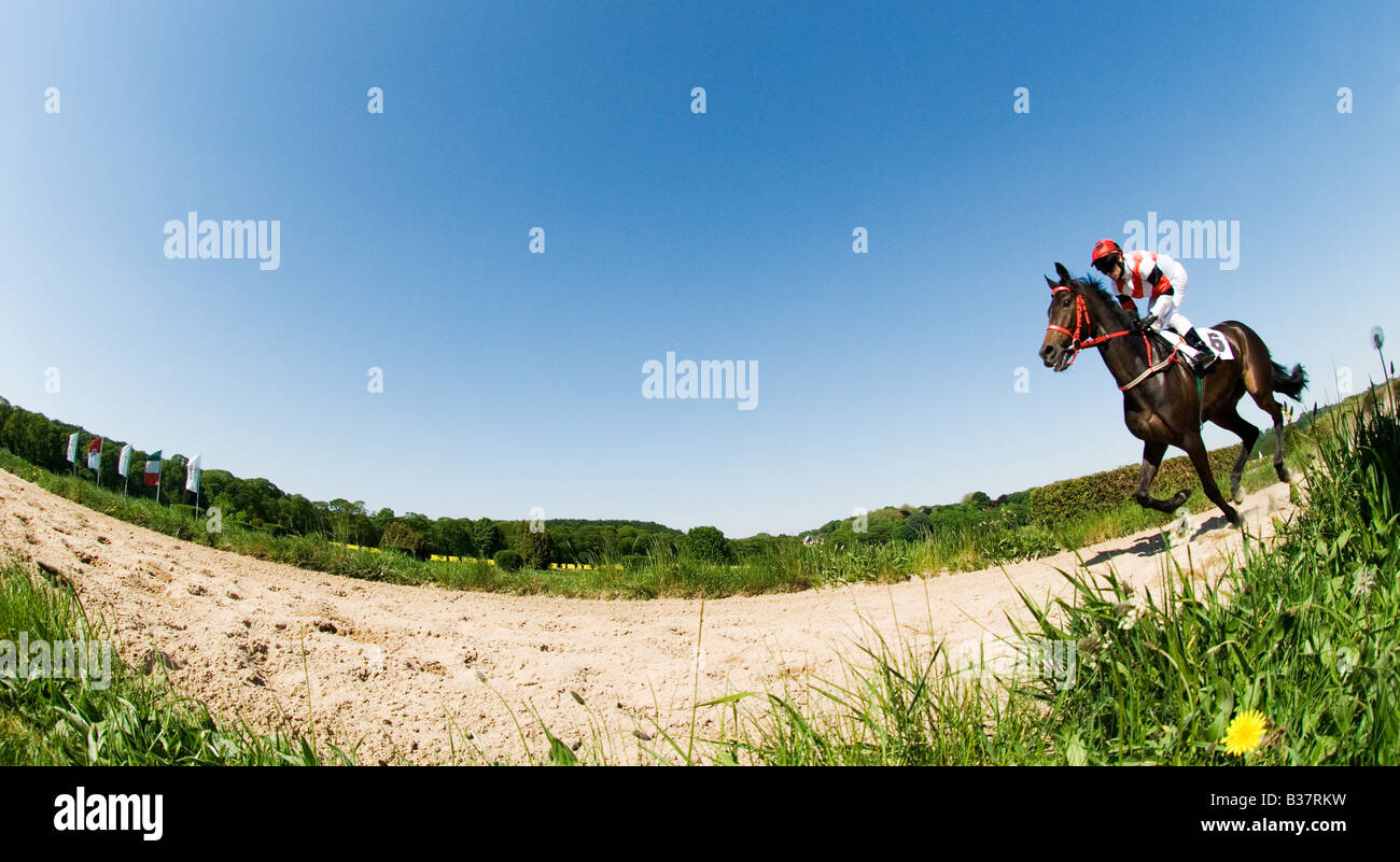 Reiter im galopp von unten -Fotos und -Bildmaterial in hoher Auflösung – Alamy