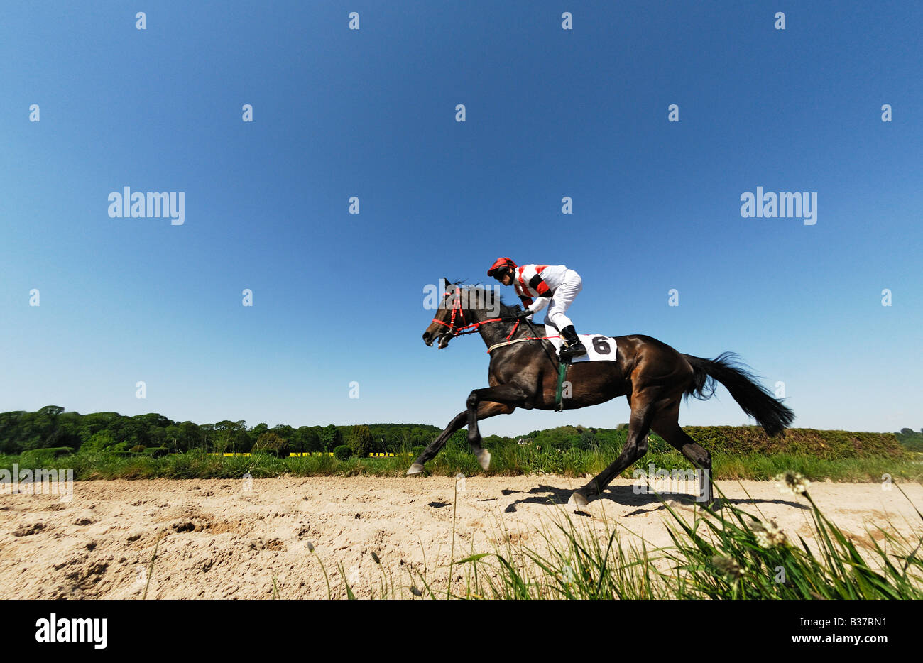 Reiter im galopp von unten -Fotos und -Bildmaterial in hoher Auflösung ...
