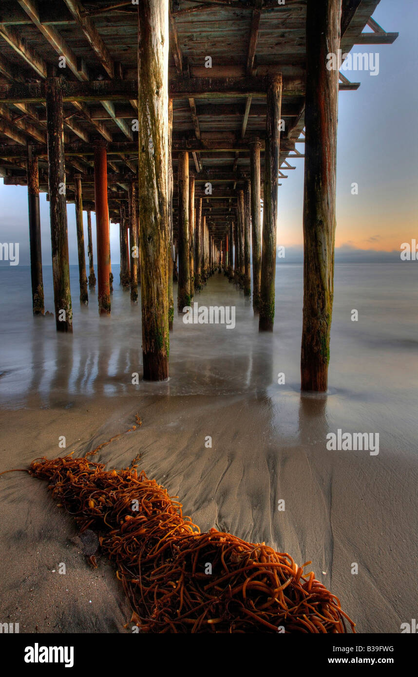 Seacliff pier -Fotos und -Bildmaterial in hoher Auflösung – Alamy