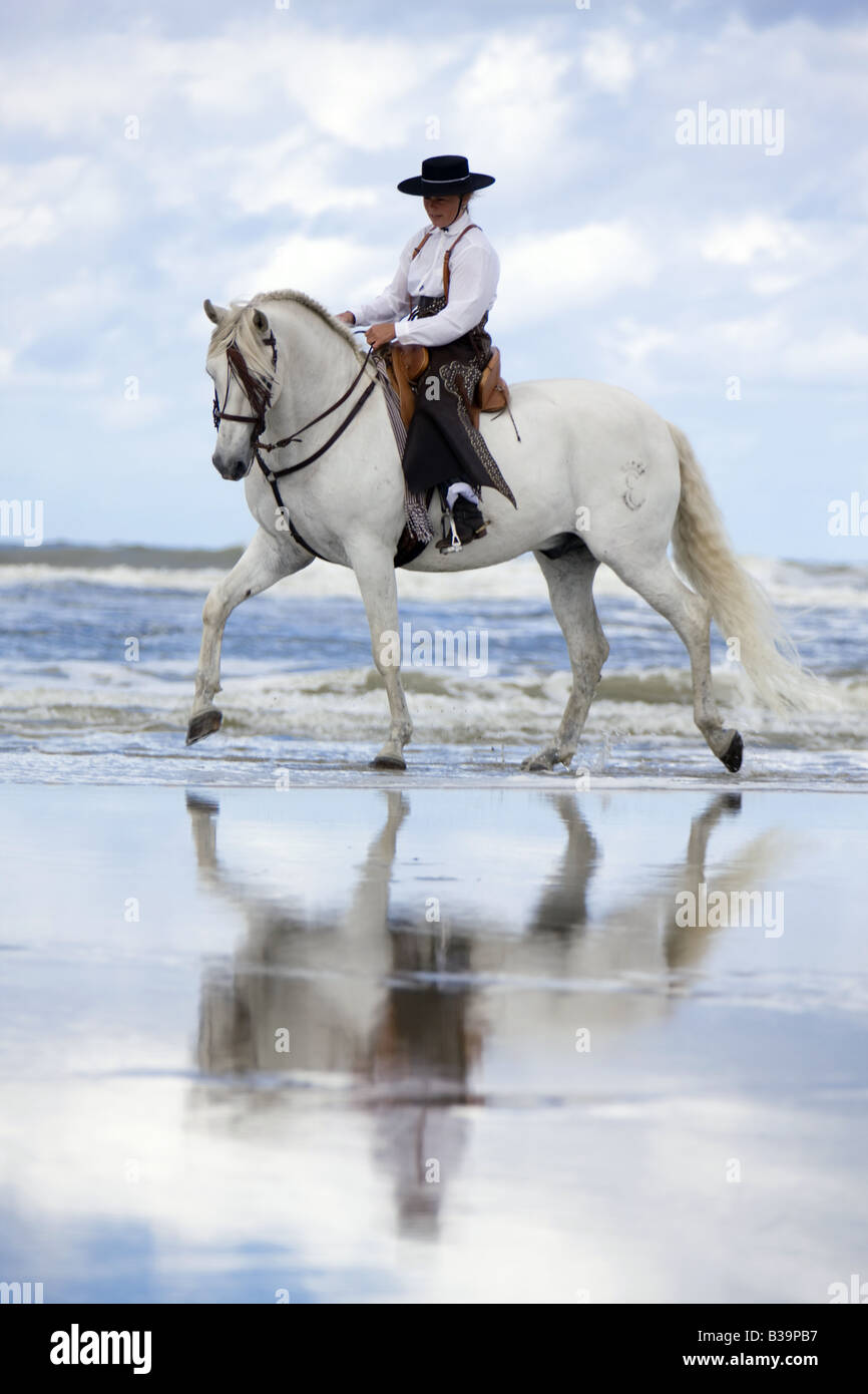 andalusische Pferd mit Reiterin - am Strand Stockfotografie - Alamy