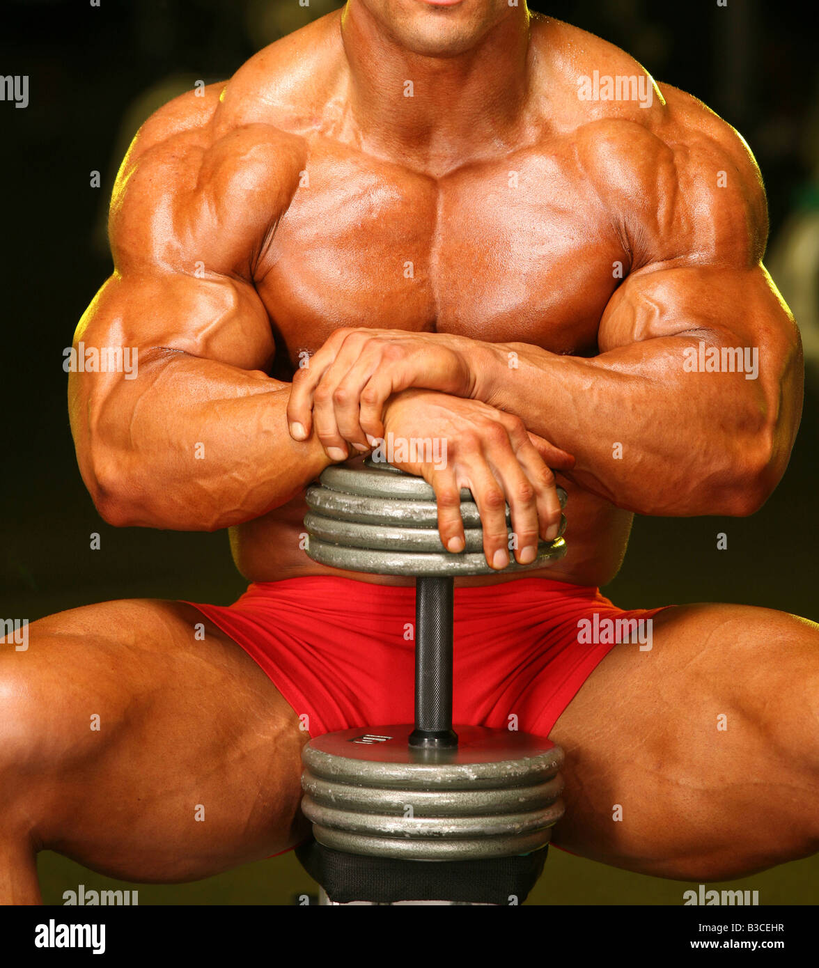 Deltoid Muscle Stockfotos und -bilder Kaufen - Alamy