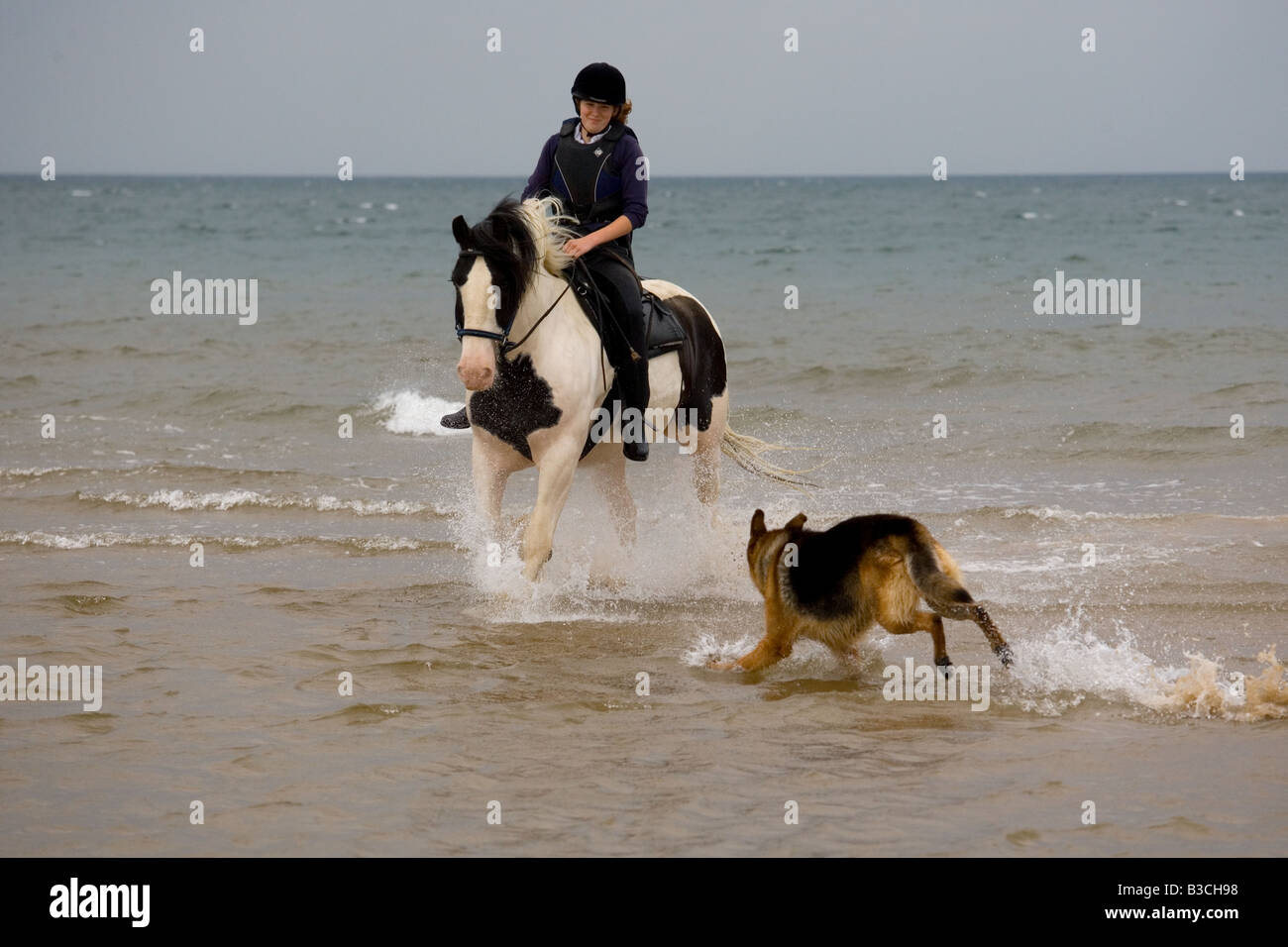 Ponys laufen am strand -Fotos und -Bildmaterial in hoher Auflösung – Alamy