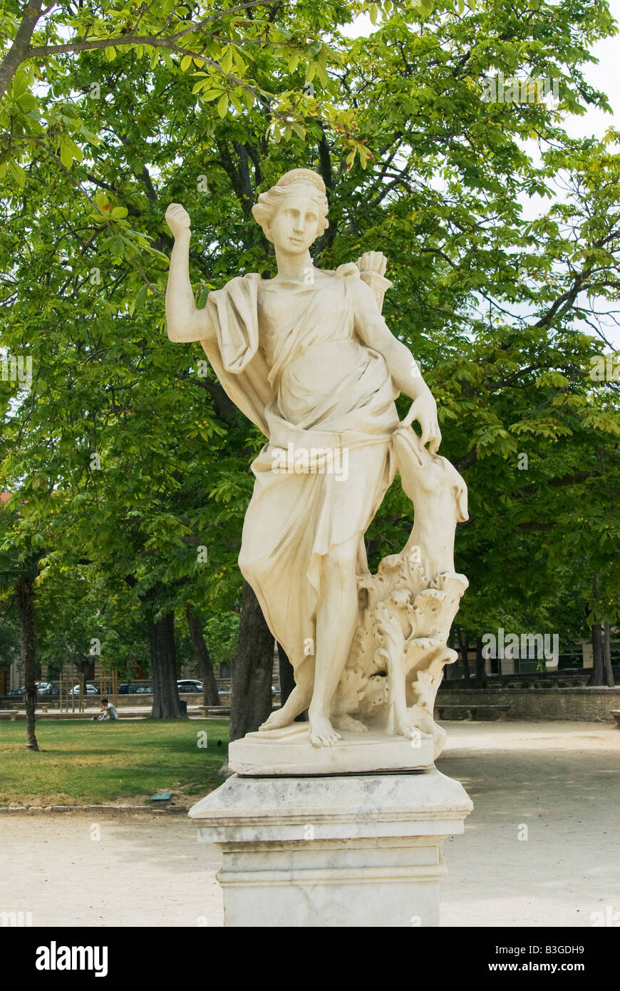 Actaeon artemis -Fotos und -Bildmaterial in hoher Auflösung – Alamy