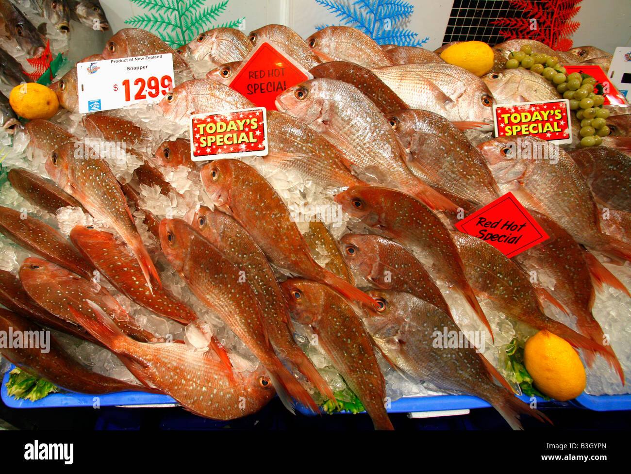 New Zealand Snapper im Sydney Fish market Stockfotografie - Alamy
