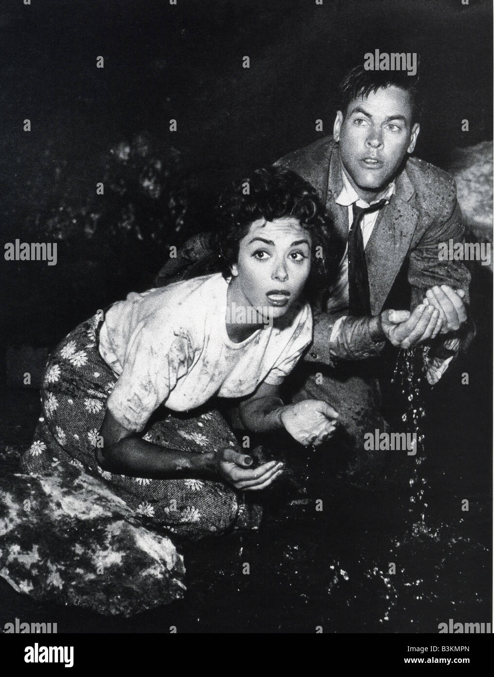 INVASION OF THE BODY SNATCHERS 1955 Allied Artists Film mit Dana Wynter ...