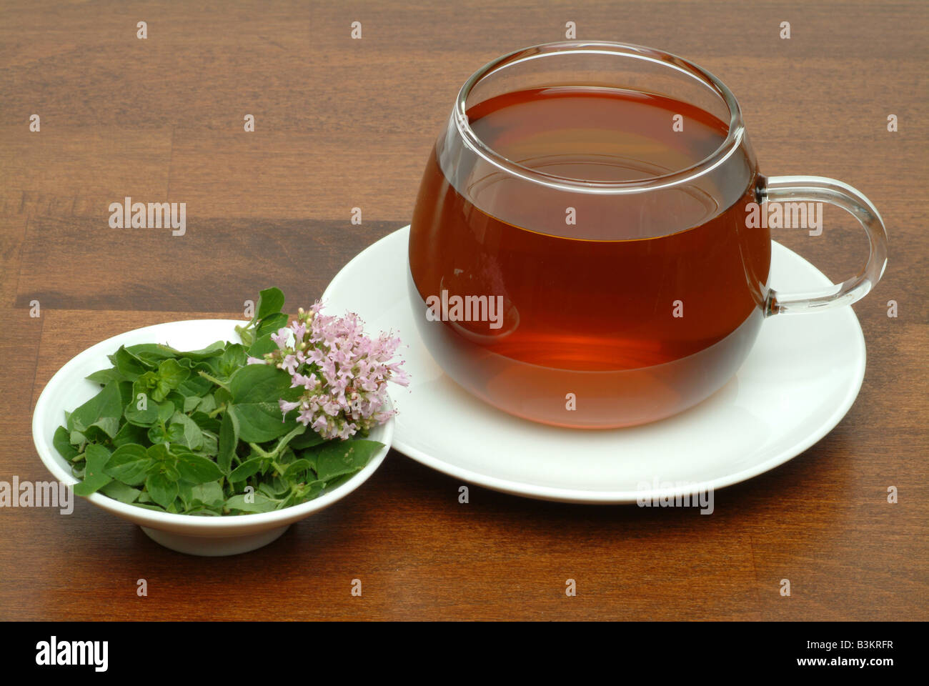 Origano origanum vulgare -Fotos und -Bildmaterial in hoher Auflösung ...