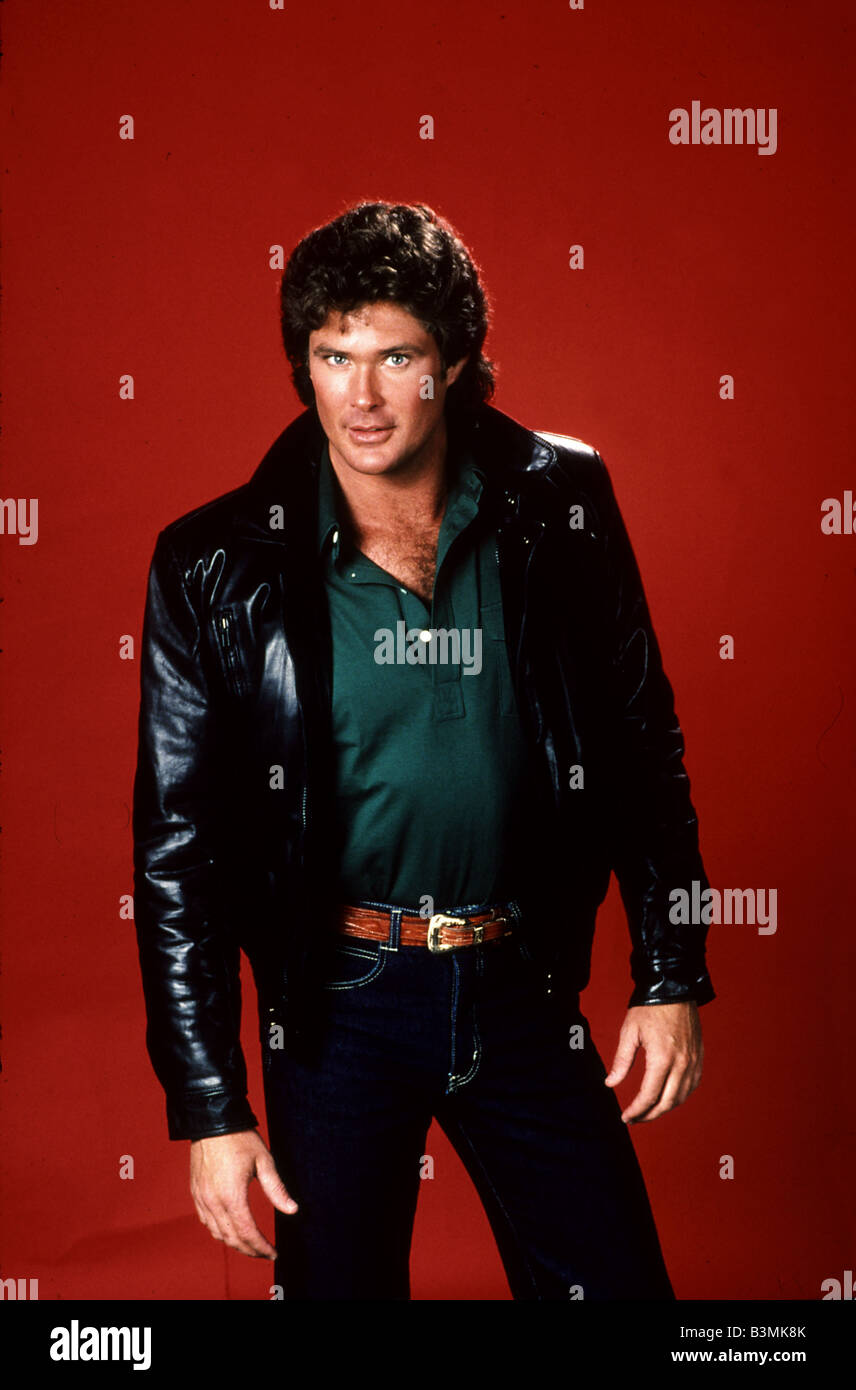David Hasselhoff Serie