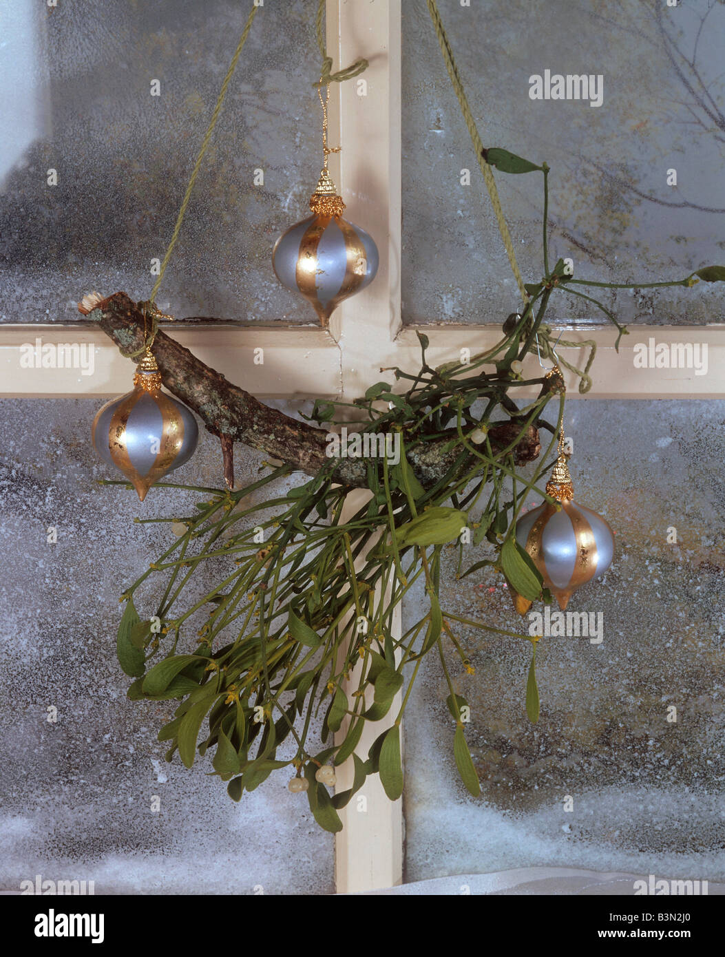 Zweig mistel -Fotos und -Bildmaterial in hoher Auflösung – Alamy