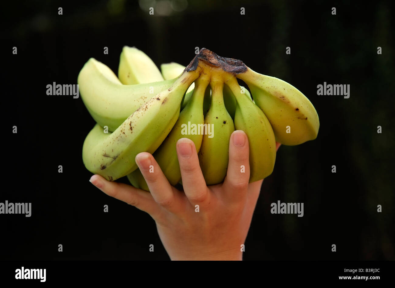 Junge bananen finger -Fotos und -Bildmaterial in hoher Auflösung – Alamy