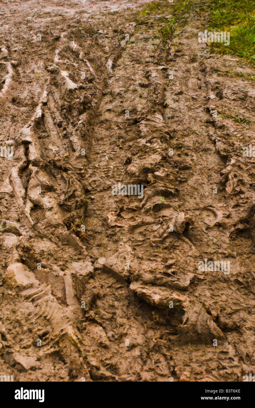 Schlamm erde -Fotos und -Bildmaterial in hoher Auflösung – Alamy