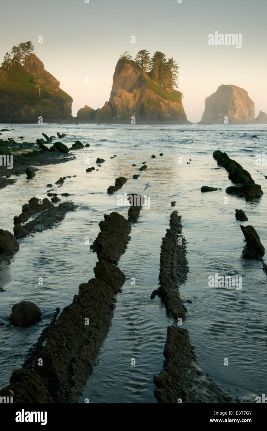 Olympic national park -Fotos und -Bildmaterial in hoher Auflösung – Alamy