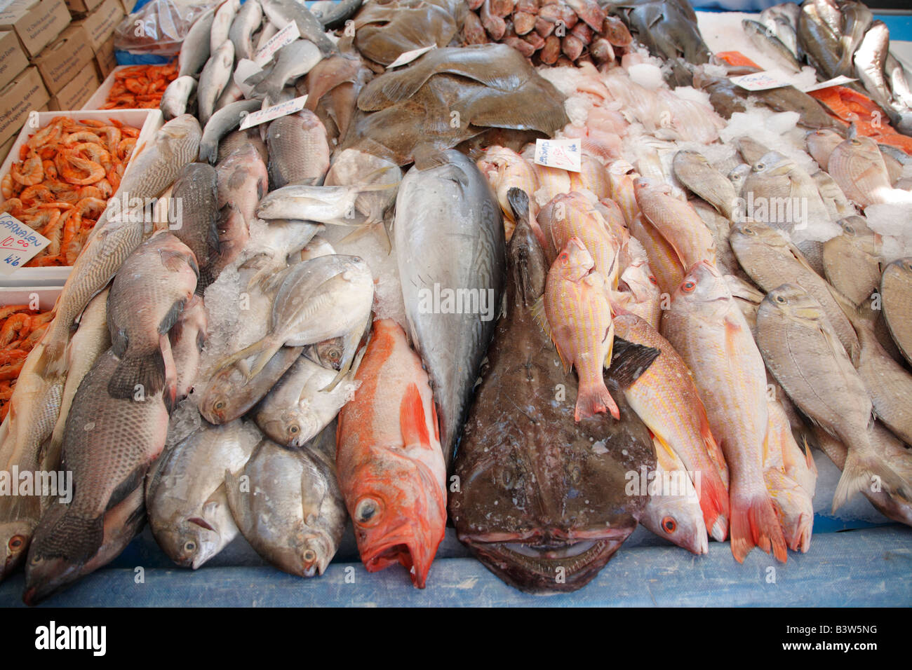 Fish market rotterdam holland -Fotos und -Bildmaterial in hoher ...