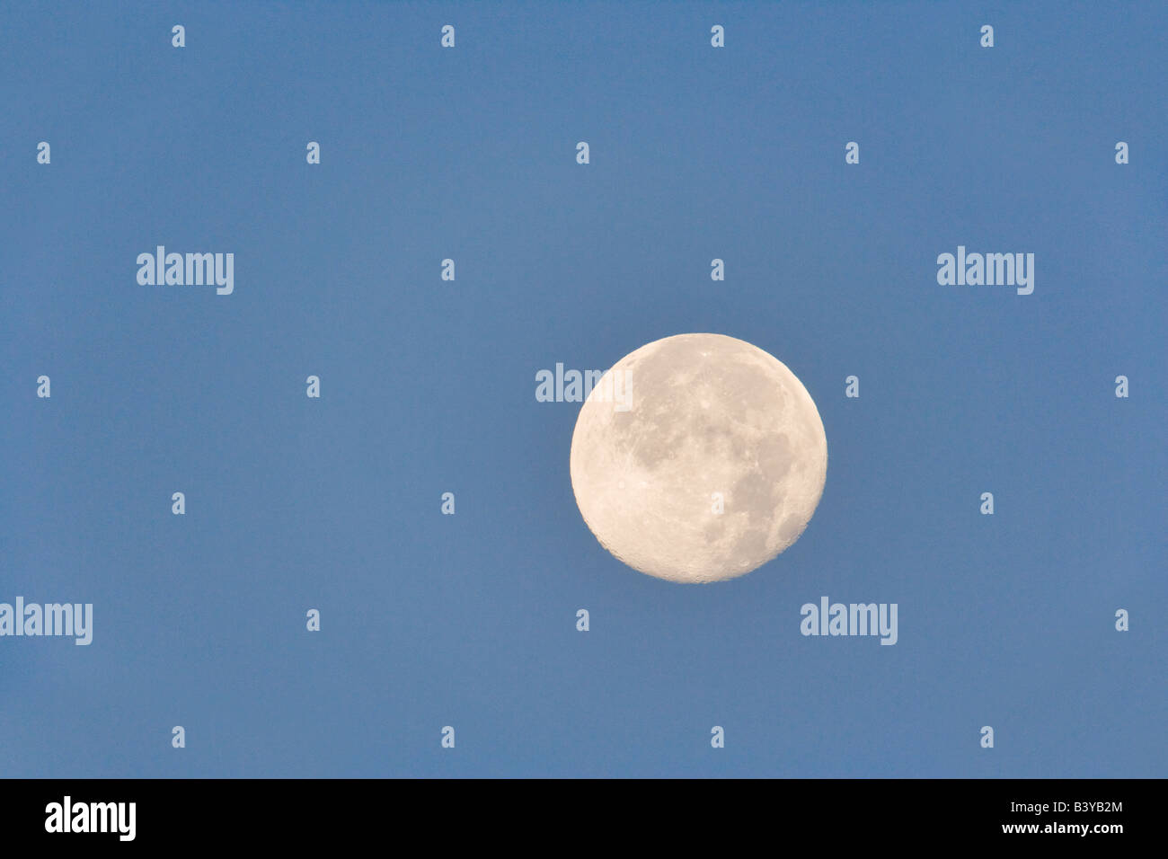 Vollmond ernte mond -Fotos und -Bildmaterial in hoher Auflösung – Alamy