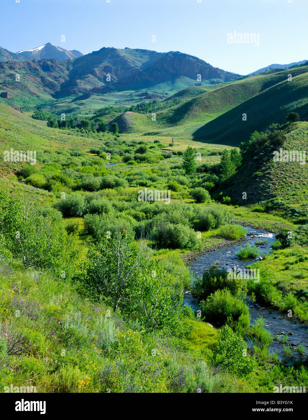 JARBIDGE WÜSTE, NEVADA. USA. Marys River in Marys River Basin. Marys ...