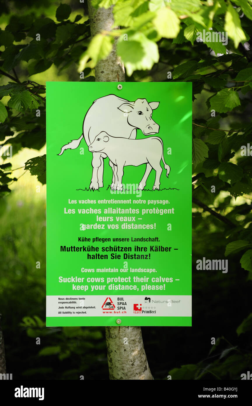 Ein Poster von einem Schweizer Landwirt neben seinem Gebiet von Kühen ...