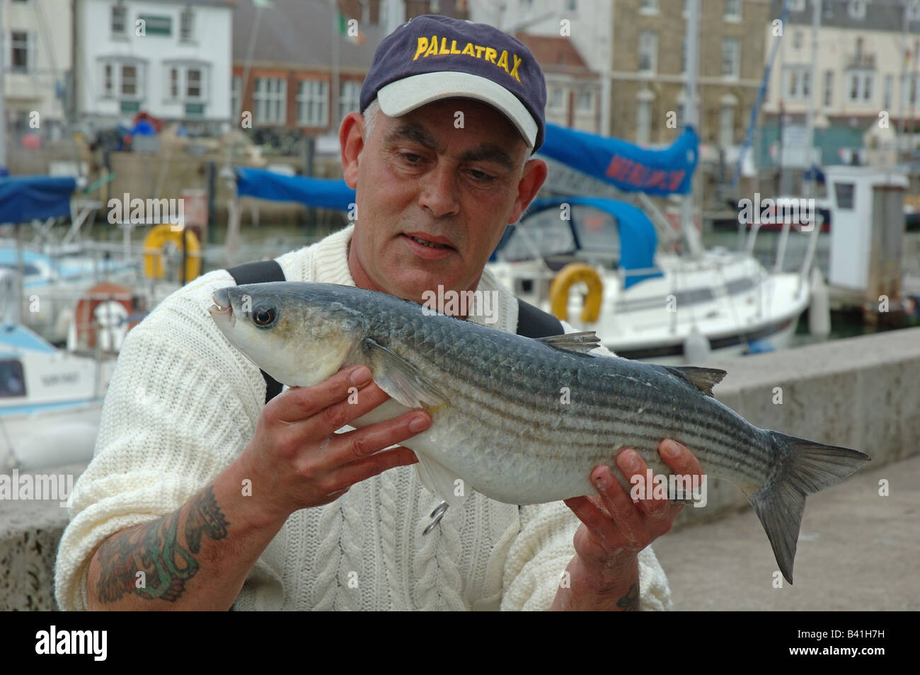 Mullet fish catch -Fotos und -Bildmaterial in hoher Auflösung – Alamy