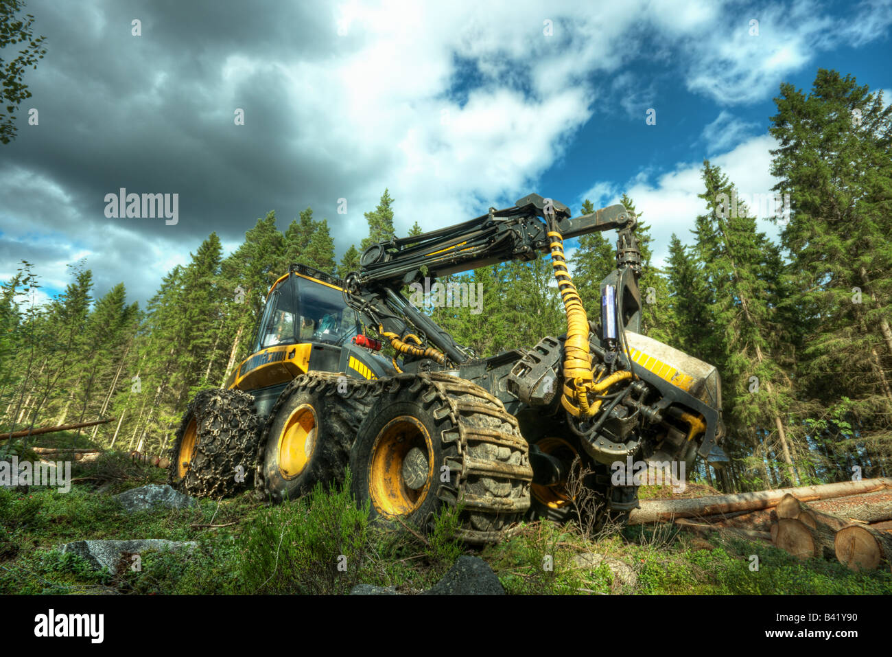 Bunter logger -Fotos und -Bildmaterial in hoher Auflösung – Alamy