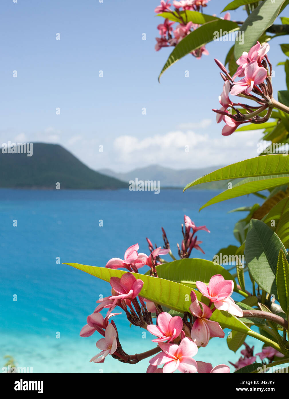 Ein Blick in Richtung Great Thatch Island und Tortola von Annenberg ...