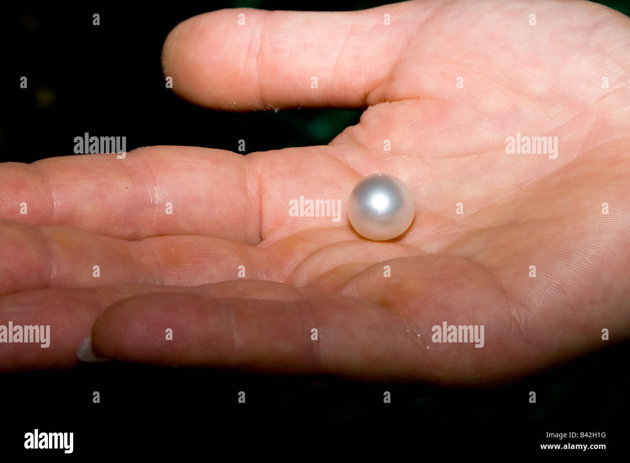 Eine perle -Fotos und -Bildmaterial in hoher Auflösung – Alamy