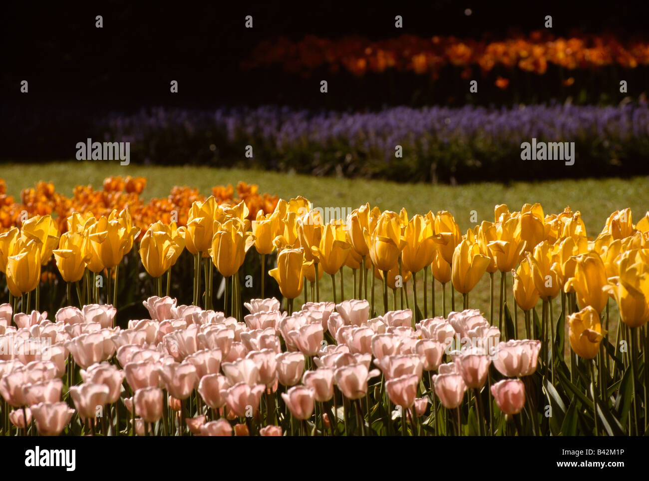 Nederland Leiden Fotos Und Bildmaterial In Hoher Auflösung Alamy