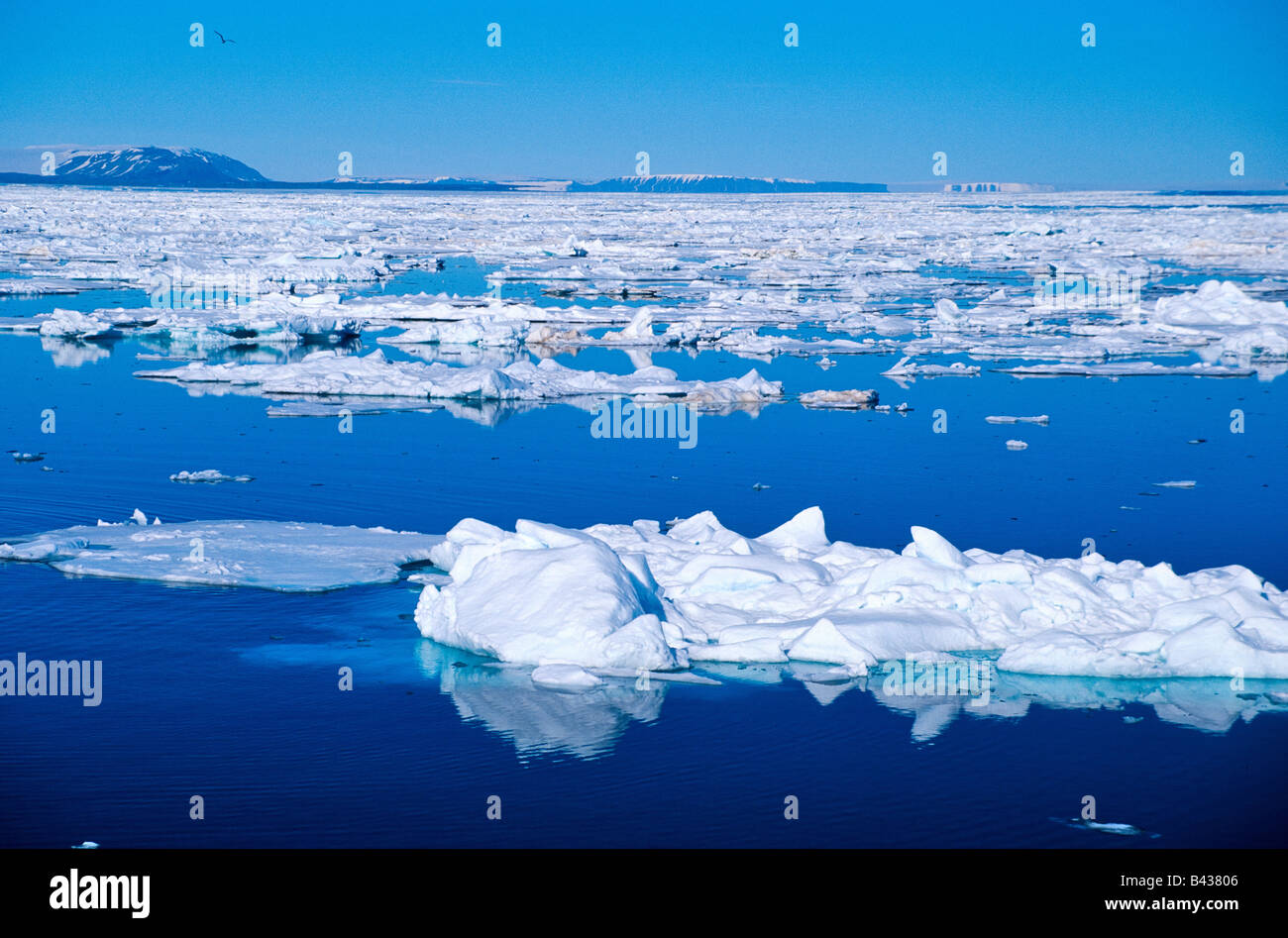 Packeis im arktischen ozean -Fotos und -Bildmaterial in hoher Auflösung ...