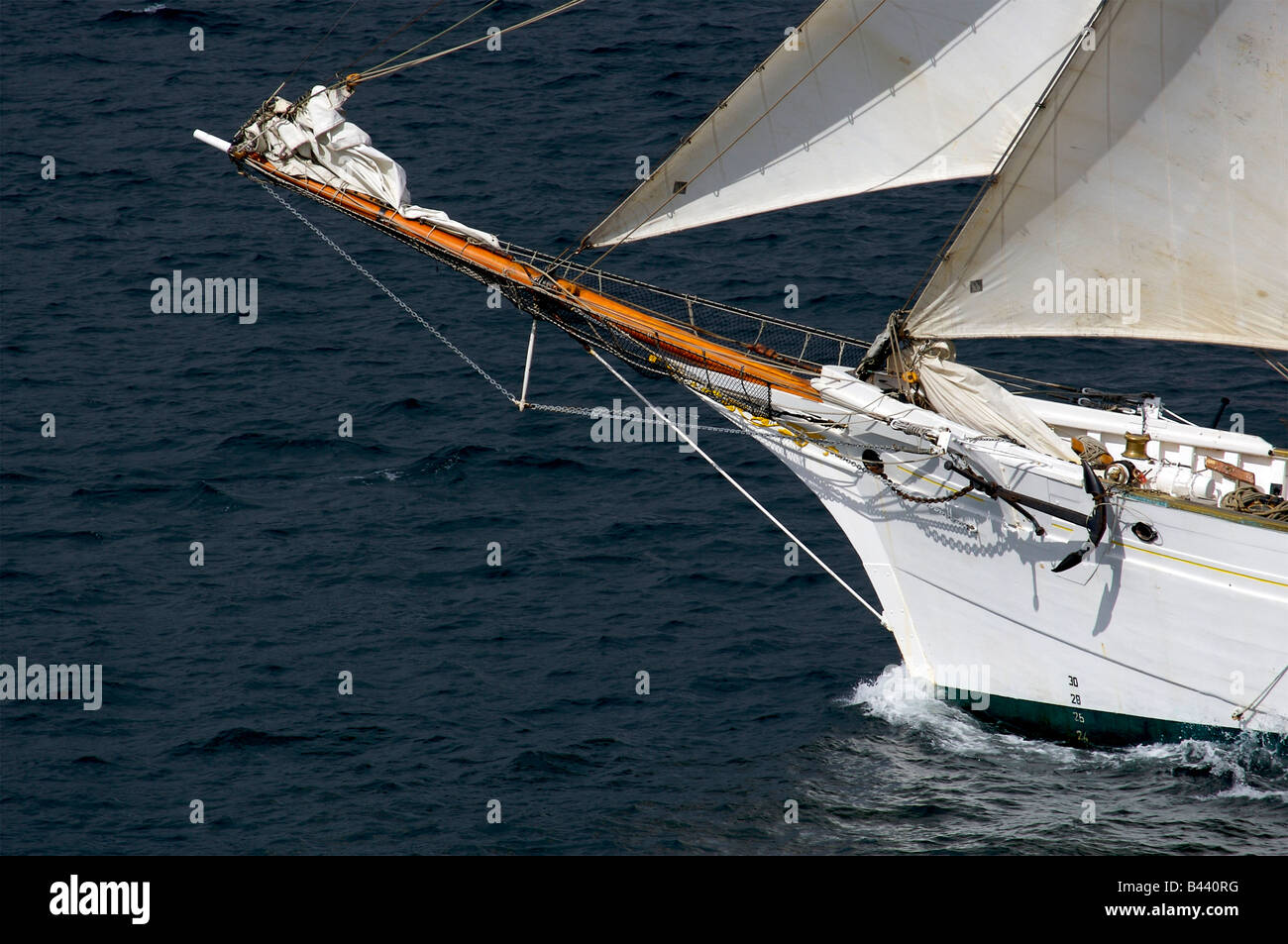 Bug segel -Fotos und -Bildmaterial in hoher Auflösung – Alamy
