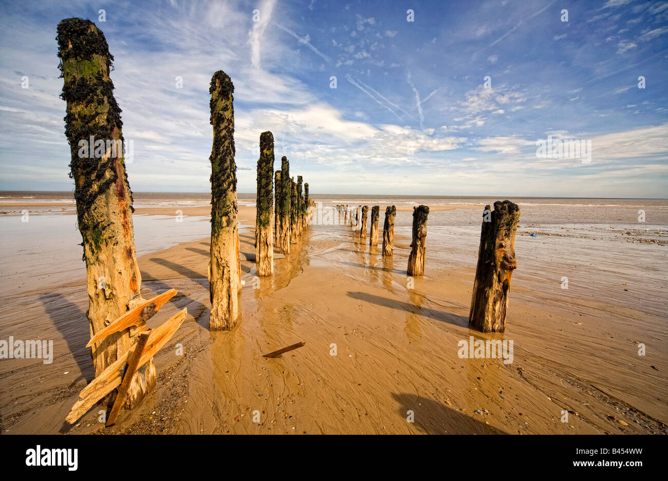 Holzpfosten am Strand, Humberside, England Stockfotografie - Alamy