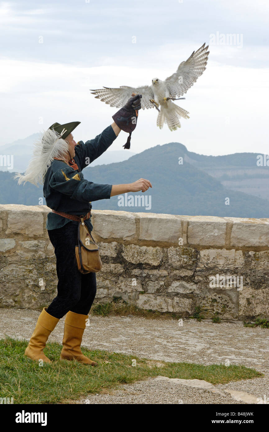 Falkner Mit Gerfalke Falkner mit Gerfalken Stockfotografie - Alamy