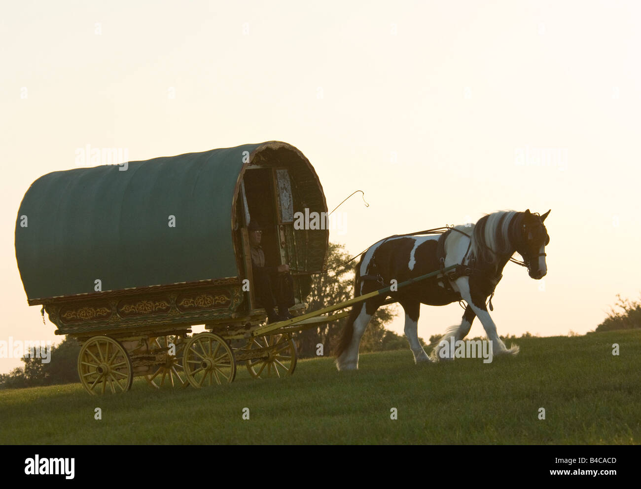 Zigeuner-Wohnwagen oder Wohn-Wagen von Gypsy Vanner Pferd gezogen ...