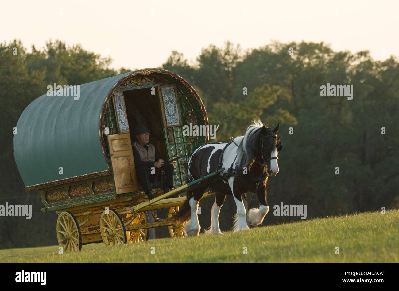 Pferde zigeuner wohnwagen -Fotos und -Bildmaterial in hoher Auflösung ...