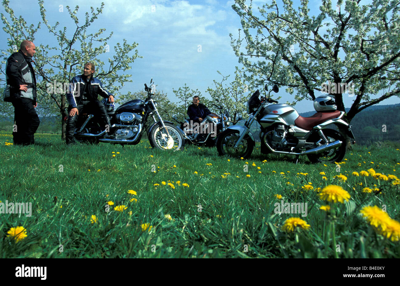 Motor Cycle, Straße Motorrad, Naked Bike, Yamaha BT 1100 Bulldog ...