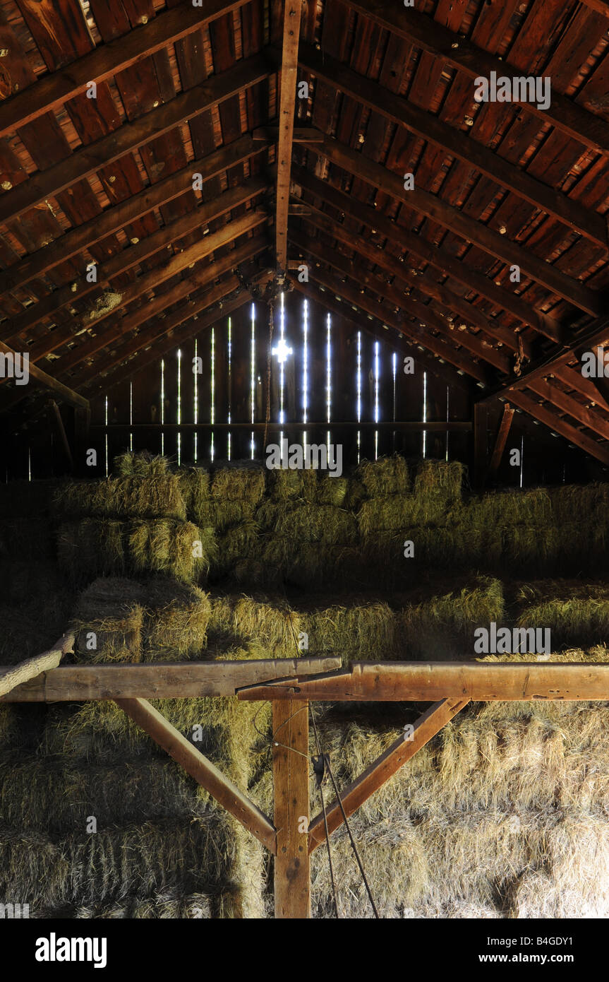 Heuboden in Scheune auf ländlichen Illinois Bauernhof. USA ...